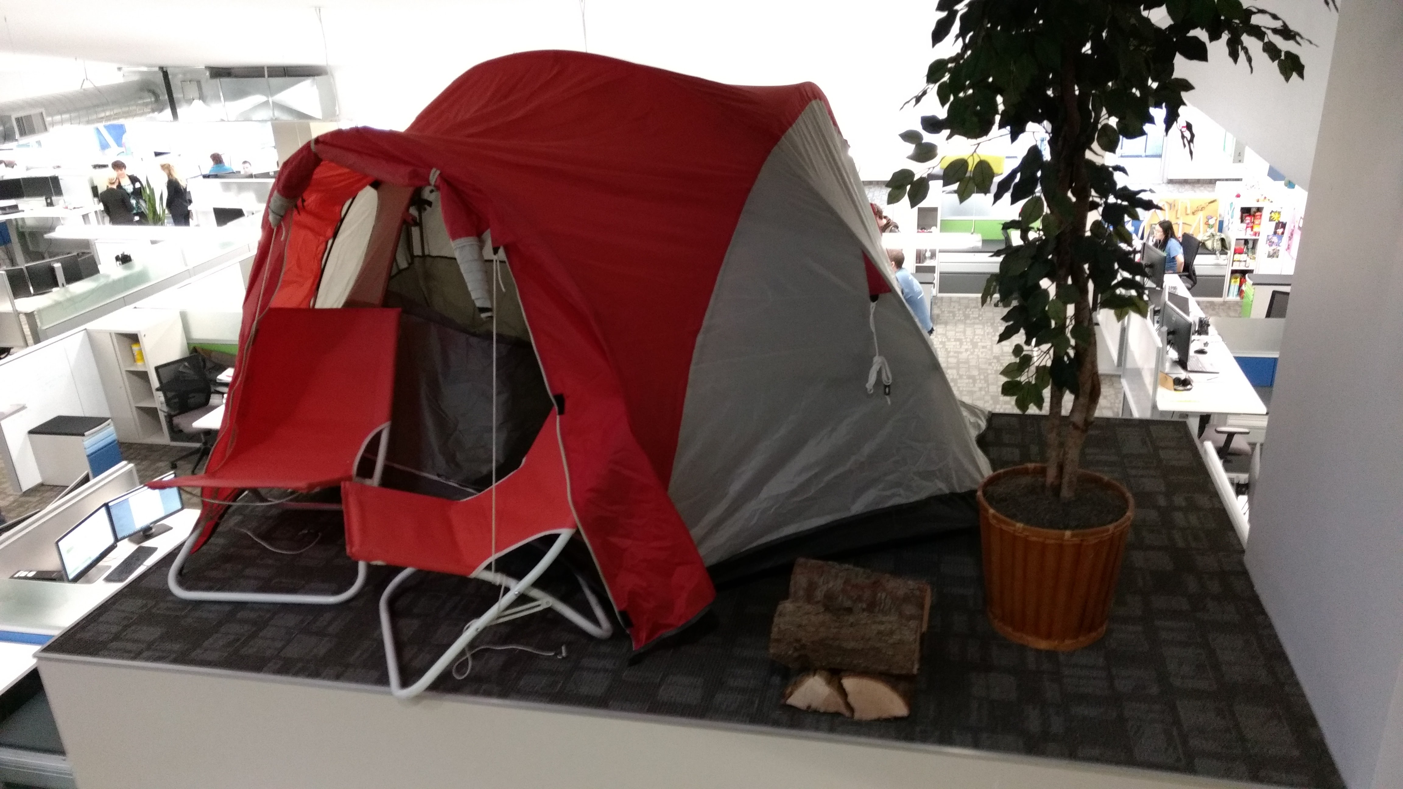 Camis Co-op Work Term Report | snim